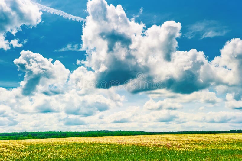 Beautiful Clouds and Blue Sky Over Field and Fores Stock Photo - Image ...