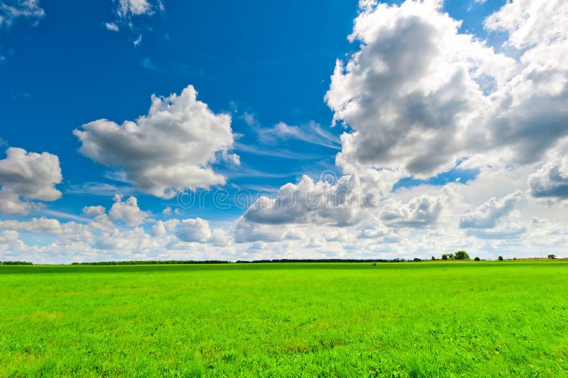 Beautiful Clouds and Blue Sky Over Field and Fores Stock Photo - Image ...