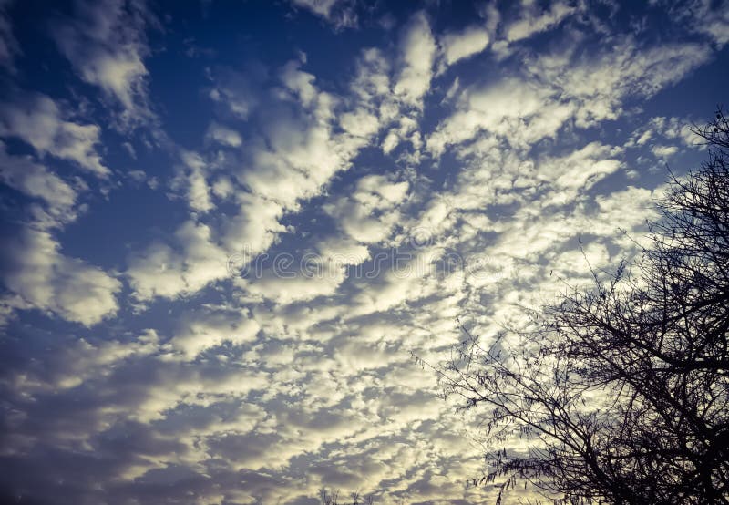 Beautiful Cloudy Sky with Tree Branches Stock Image - Image of ...