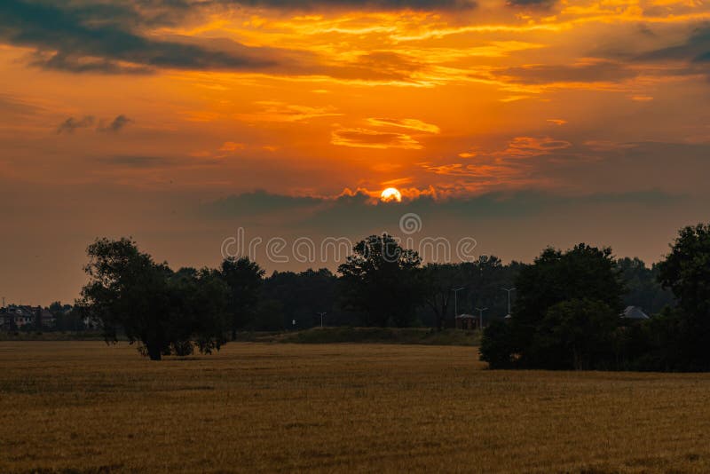Beautiful Cloudy Sunrise Over Big Yellow Field and Trees of Forest ...