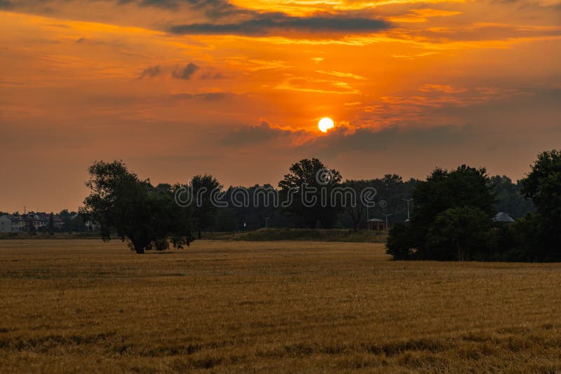 Beautiful Cloudy Sunrise Over Big Yellow Field and Trees of Forest ...