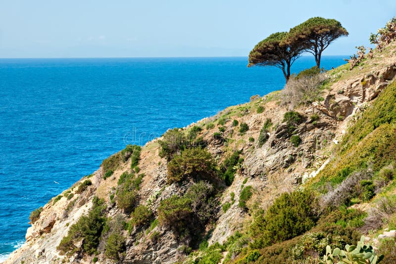 Fetovaia Beach,Elba Island,Italy Stock Photo - Image of italy ...