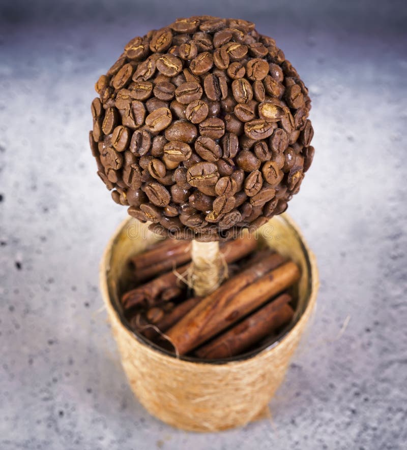 Beautiful Coffee Topiary stock photo. Image of design - 135644406