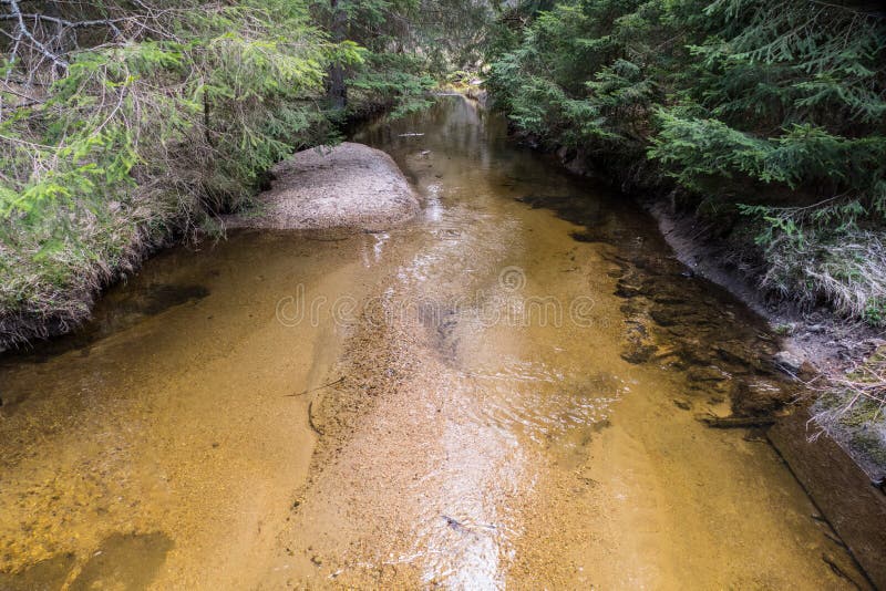 Pure Water Stream in Forest Stock Image - Image of environment, cascade ...