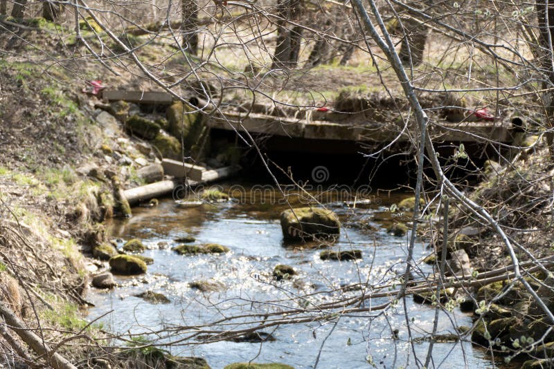 Pure Water Stream in Forest Stock Image - Image of jizera, beauty ...
