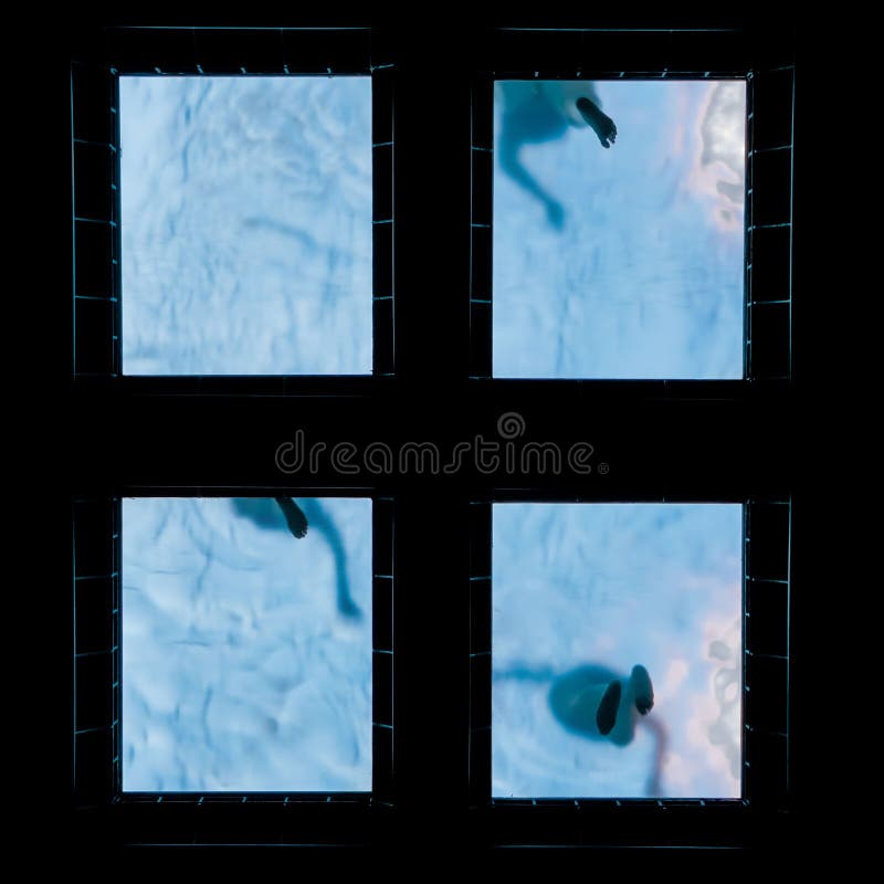 Beautiful Collage of People Swimming in the Pool Stock Image - Image of ...