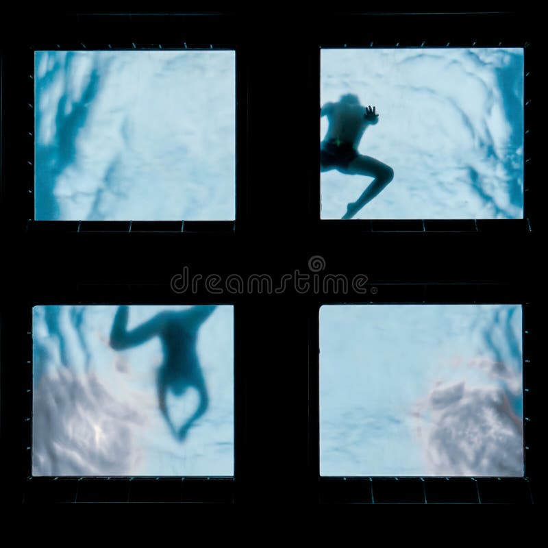 Beautiful Collage of People Swimming in the Pool Stock Image - Image of ...