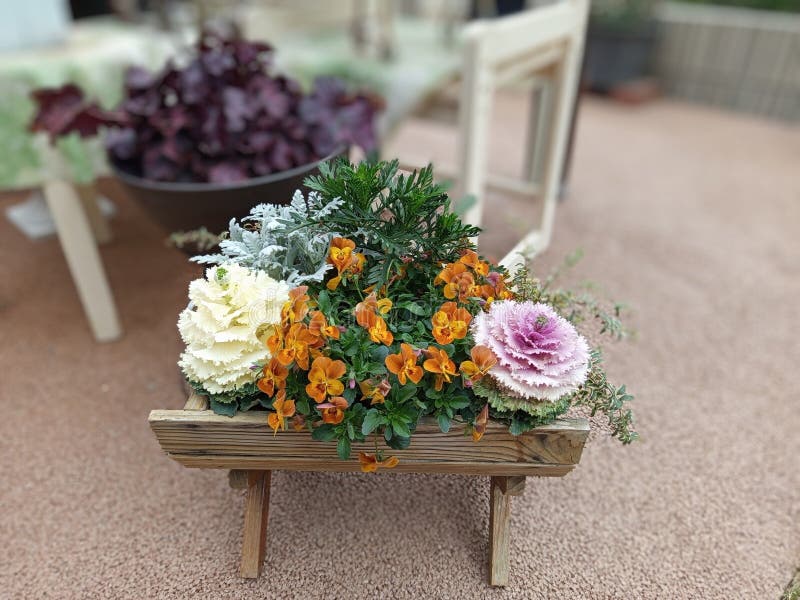 Beautiful Collection Flowers on a Unique Pot Stock Photo - Image of ...