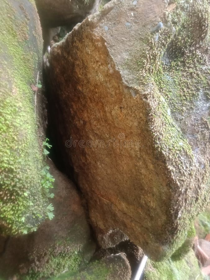 A Beautiful Collection Moss Stone in the Front Yard of the House among ...