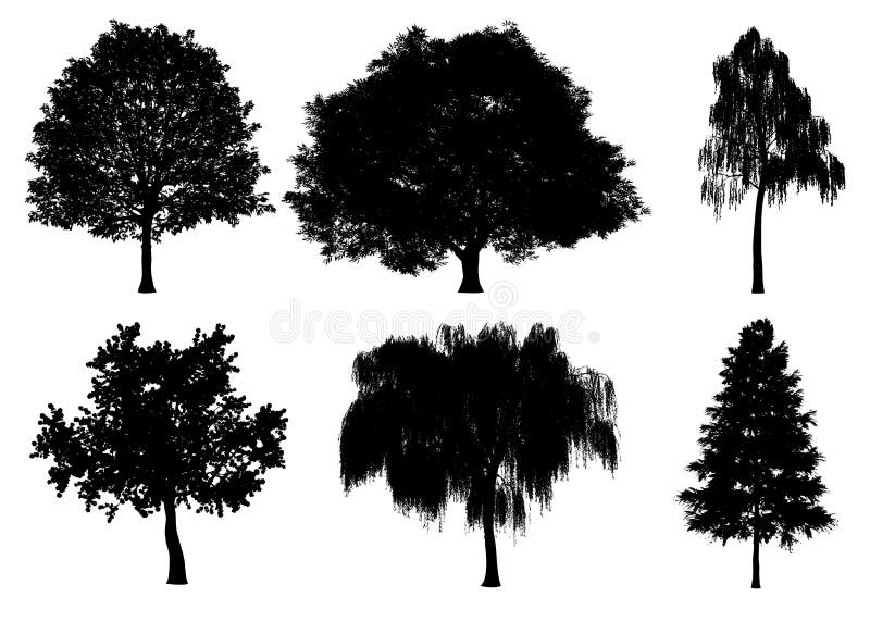 1,793 Beautiful Tree Cutting Design Stock Photos - Free & Royalty-Free ...