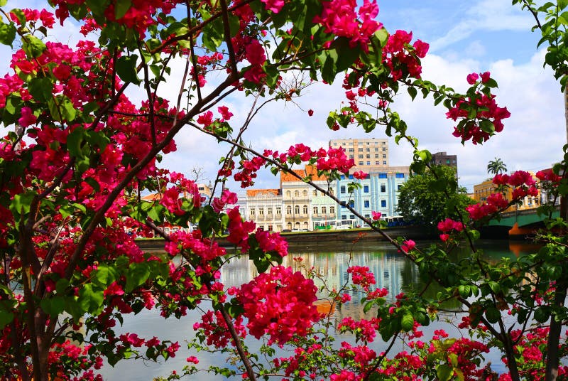 Recife, Pernambuco stock image. Image of brazil, houses - 192014529