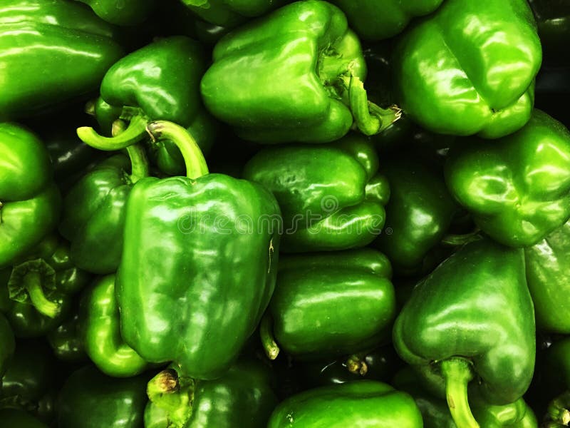 Beautiful Color of Capsicum Pepper Stock Image - Image of color, fresh ...
