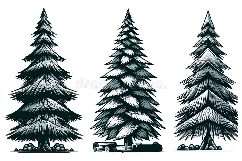 Beautiful Color Pine Tree Vector Style Stock Illustration ...