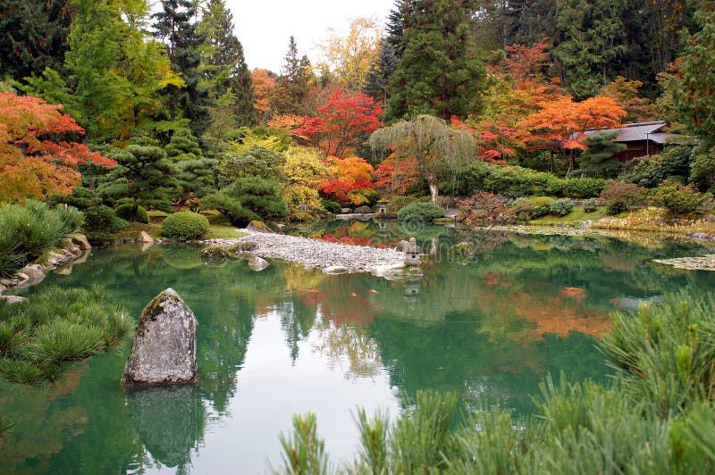 Beautiful Color at the Pond Stock Image - Image of autumn, plant: 1182765