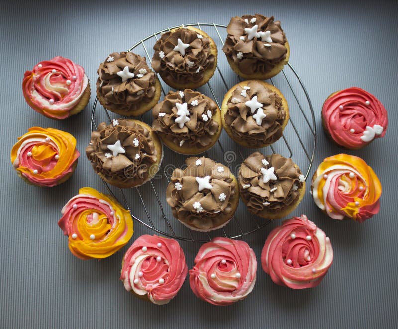 Beautiful Colored Cupcakes Standing on the Gray Background after Baking ...