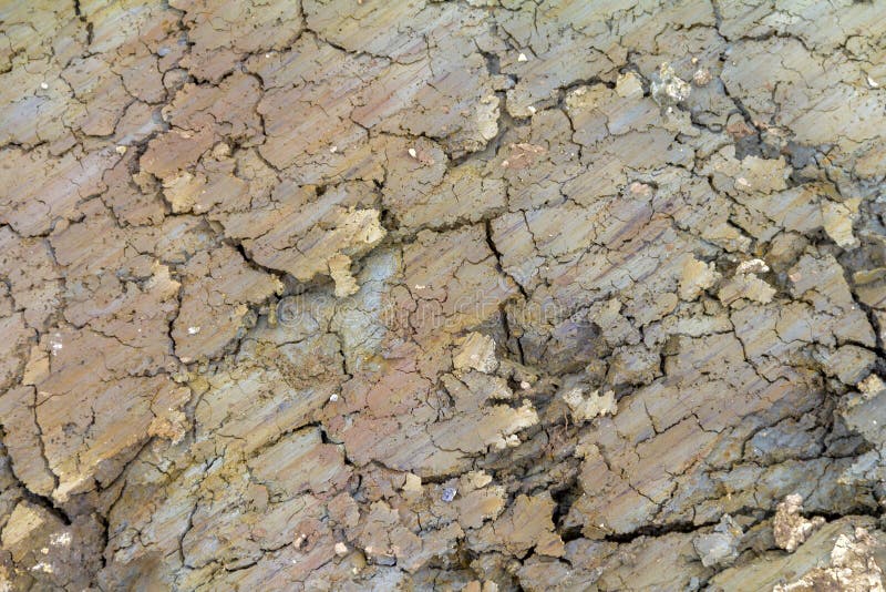 Full Frame Abstract Soil Structure Stock Photo - Image of detail ...