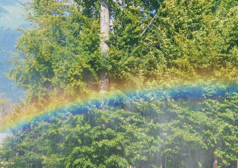 Beautiful Colored Rainbow on a Background of Green Trees Stock Photo ...