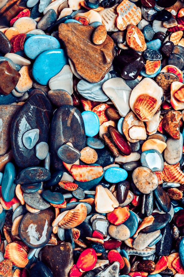 Beautiful Colored Sea Stones. Background for the Designer Stock Photo ...