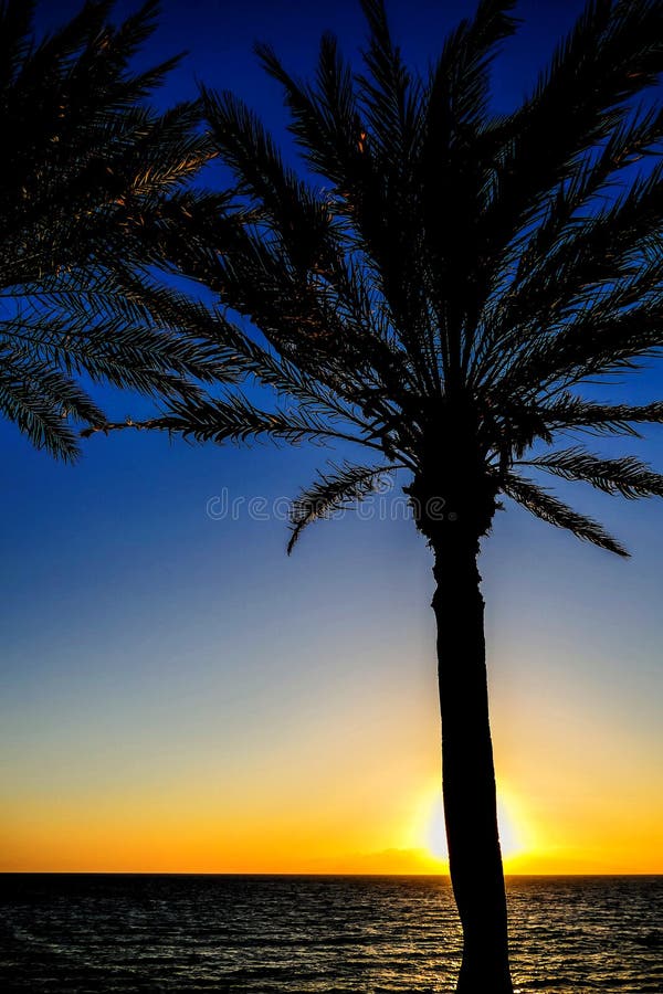 Beautiful Colored Sunset stock photo. Image of blue - 163792636