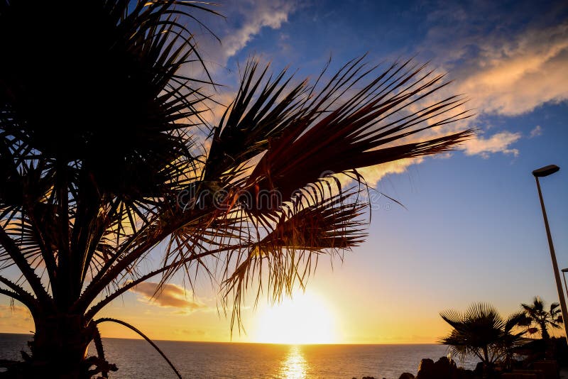 Beautiful Colored Sunset stock image. Image of sunset - 224577515