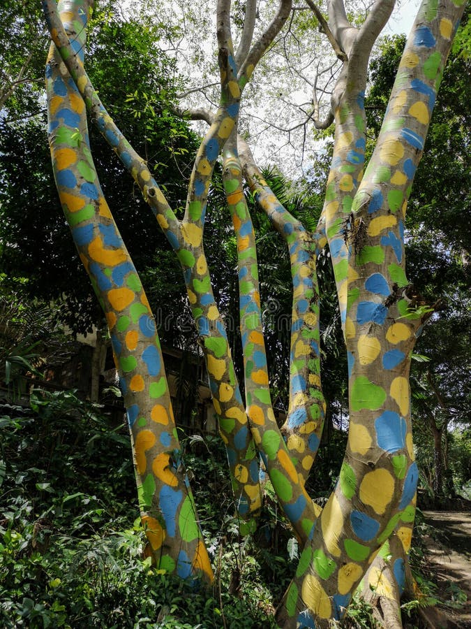 Beautiful Colored Tree with Painting, Tree Trunk Covered with Colored ...