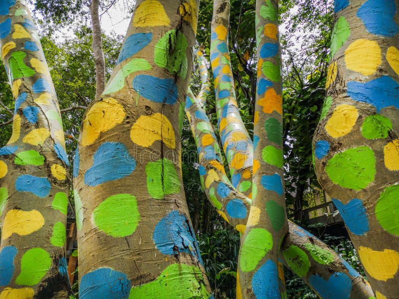 Beautiful Colored Tree with Painting, Tree Trunk Covered with Colored ...