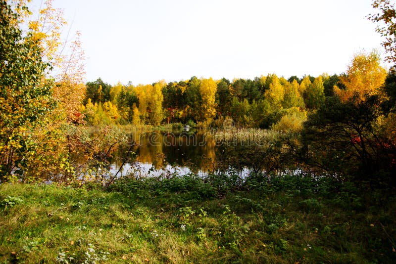 Beautiful Colorful Autumn Forest Reflected in the River Stock Photo ...