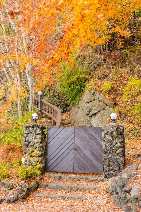 Beautiful Colorful Autumn Leaves. Stock Photo - Image of calm, color ...