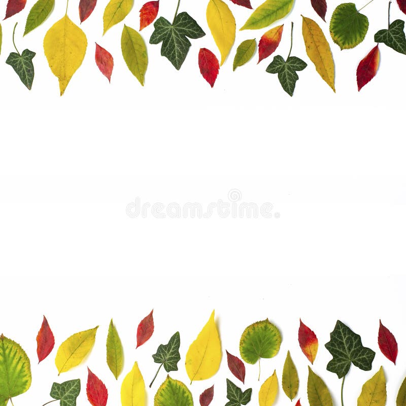 Beautiful Colorful Autumn Leaves Making Top and Bottom Frame Stock ...