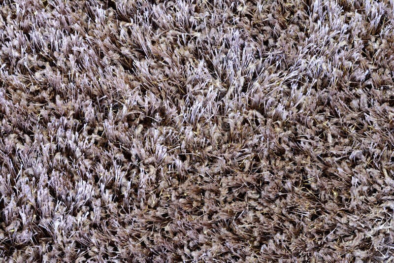 Italian Rug Pattern Stock Photos - Free & Royalty-Free Stock Photos ...