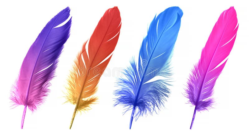 Beautiful Colorful Feathers. Collection Feathers Isolated on White ...