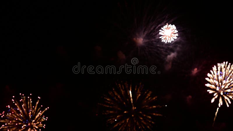 Beautiful Colorful Fireworks Exploding in the Night Sky, Isolated on ...