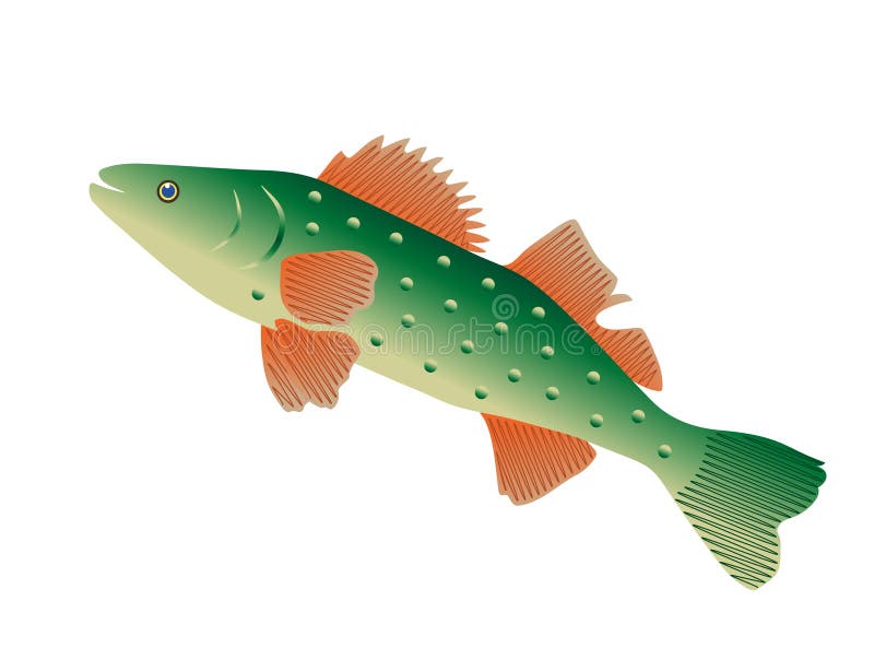Beautiful Colorful Green Fish Stock Illustration - Illustration of lake ...