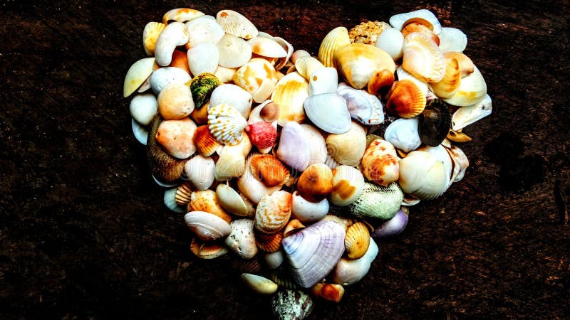 Beautiful and Colorful a Heart Shape Made of Shells Stock Photo - Image ...