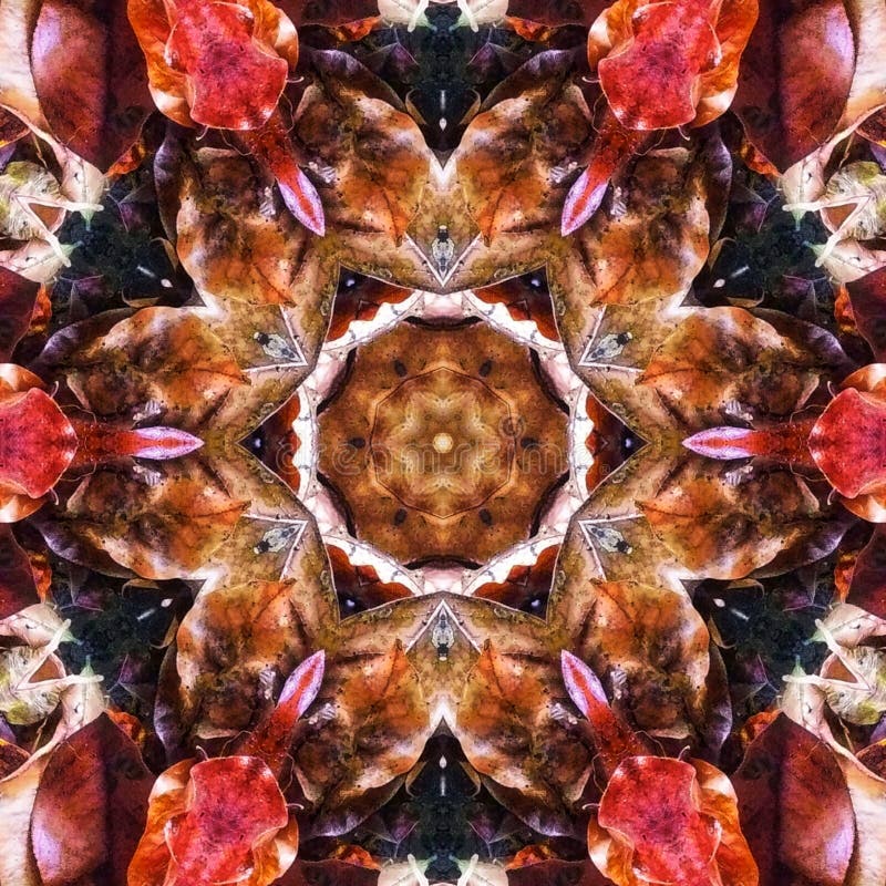 Beautiful and Colorful Kaleidoscope Photo. Stock Illustration ...