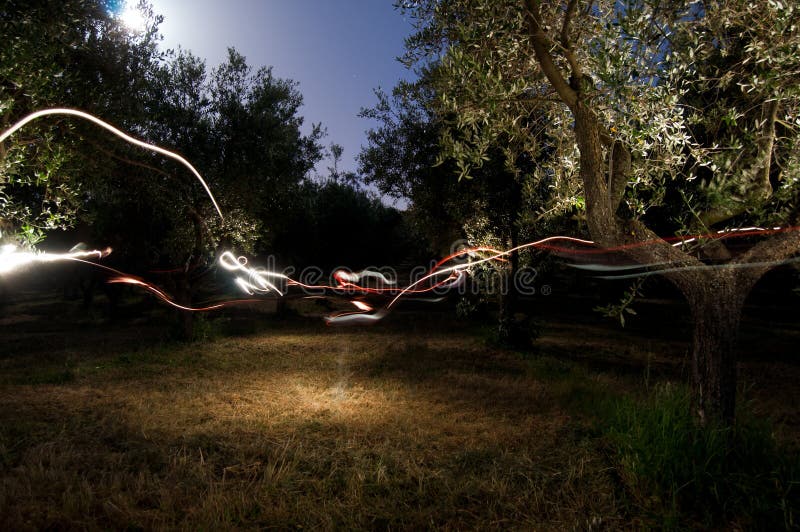 Beautiful Colorful Light Painting Composition among the Trees Stock ...