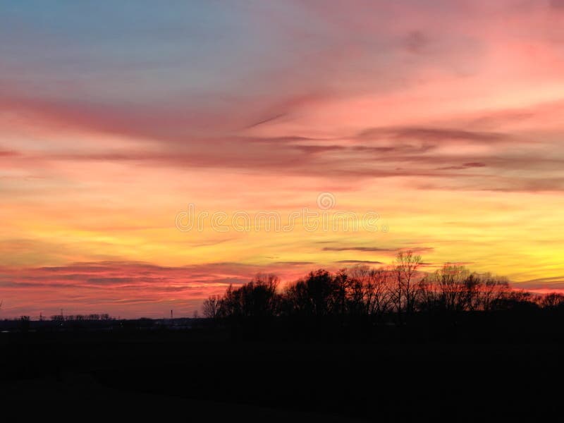 Beautiful Colorful Sunset in Nature Trees in Stock Photo - Image of ...