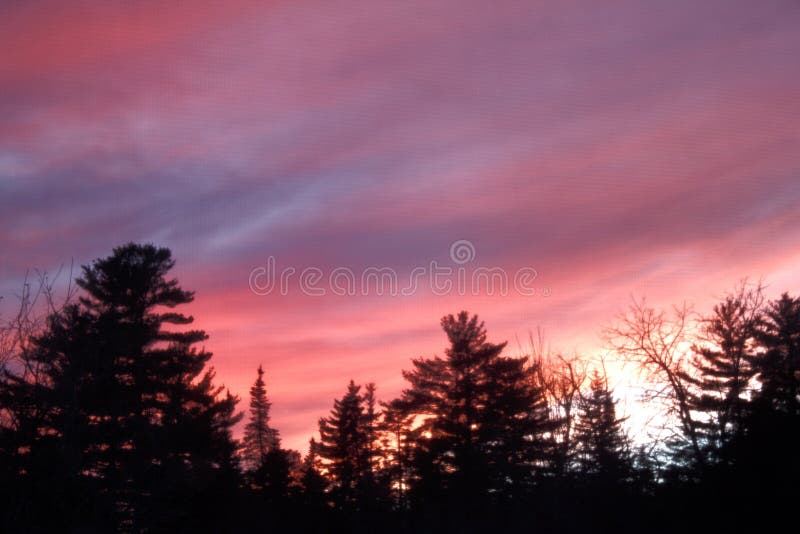 Beautiful Colorful Sunset Over the Tree Tops Stock Image - Image of ...