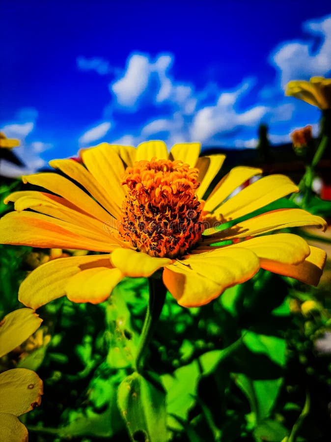 The colors of the morning stock photo. Image of colors - 149189108