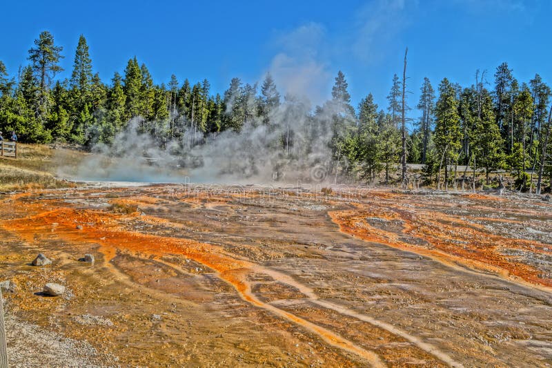 Beautiful Colors in Yellowstone NP Stock Photo - Image of spring, steam ...