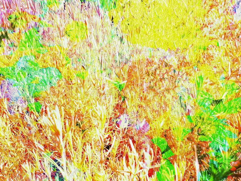 Coloured Tree Canopy Wallpaper Stock Photo - Image of textured, woods ...