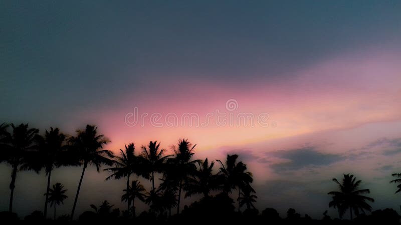 Beautiful Colours with Trees Stock Image - Image of beautiful, colours ...