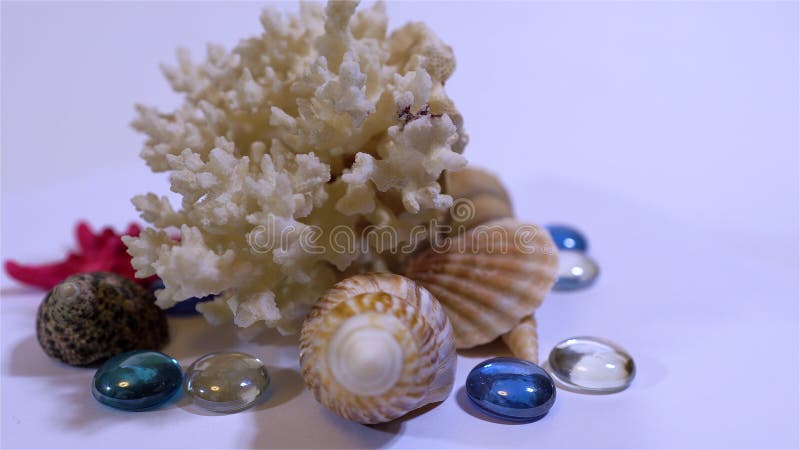 Beautiful Composition for Decor of Coral, Colored Glass and Shells ...