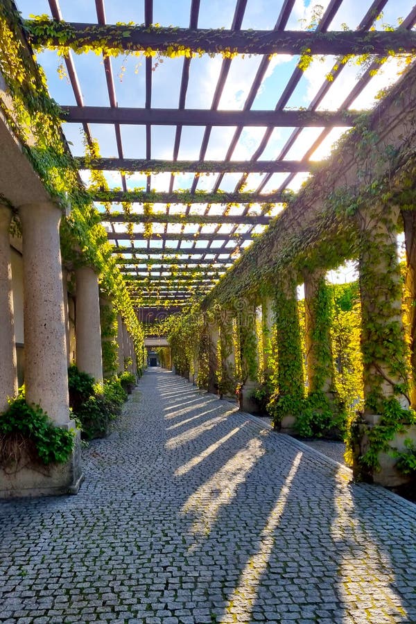 Beautiful Concrete Structure in the Park for Walking. Stock Photo ...