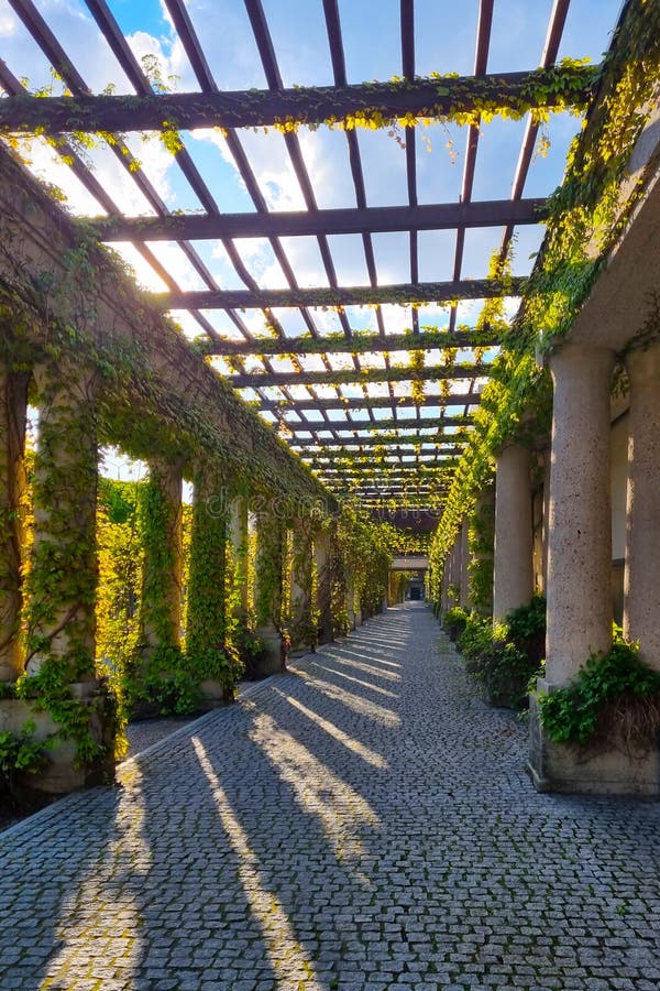 Beautiful Construction of a Building with a Setting Sun Stock Photo ...