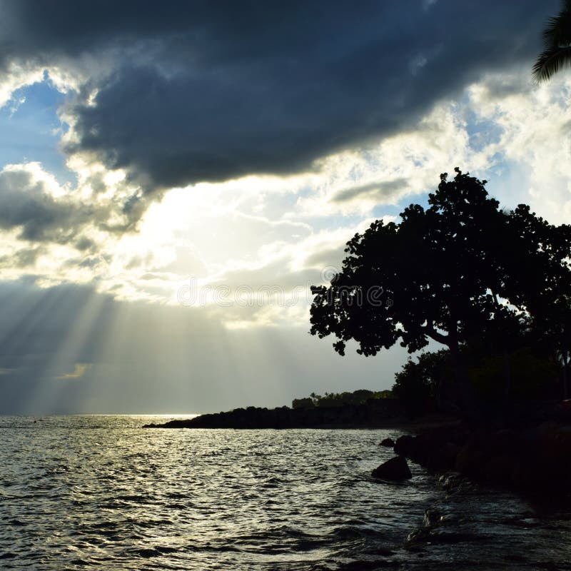 Contrast in the Sunset in the Beach Two Stock Image - Image of ...