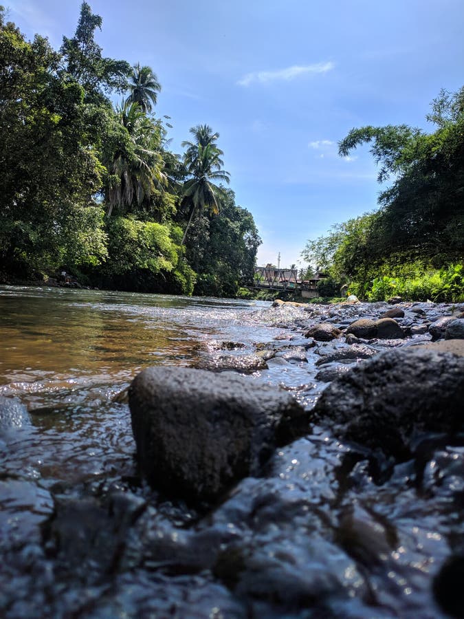 Beautiful and Cool River Bank Stock Image - Image of shore, leaf: 264249787