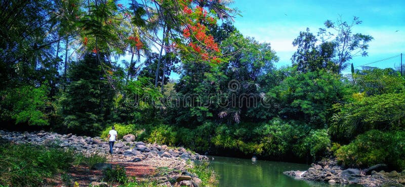Beautiful and Cool View by the River Stock Image - Image of beautiful ...
