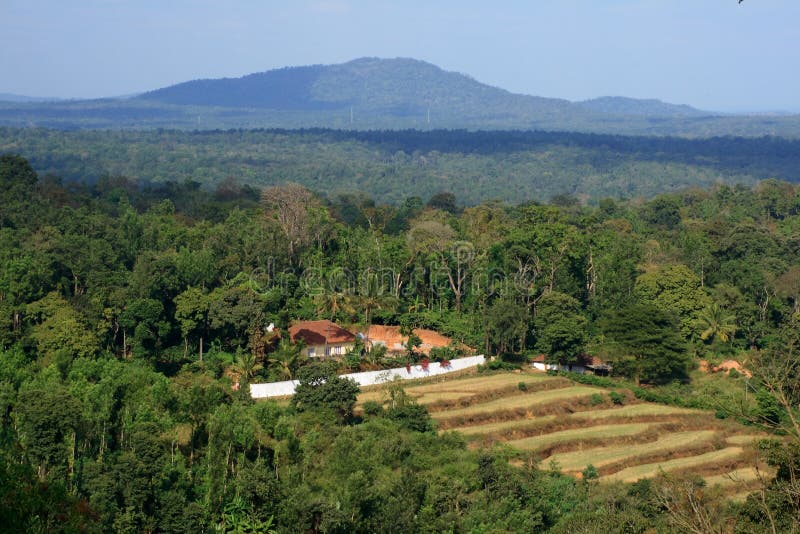 Beautiful Coorg Landscape-I Stock Image - Image of forest, mountain ...