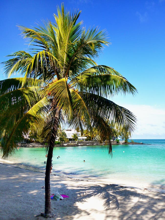 Tropical Paradise Island Mauritius, Indian Ocean Island Stock Image ... Tropical Paradise Island Mauritius, Indian Ocean Island Stock Image ...